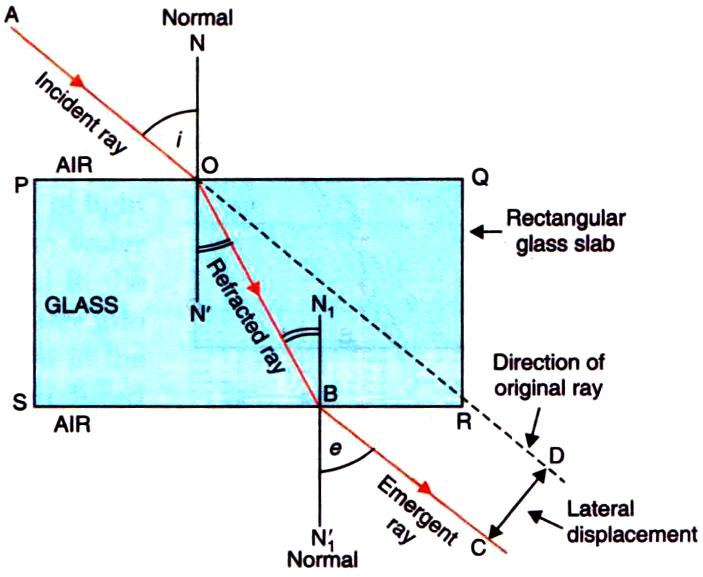 DIAGRAM Manta Ray Face Diagram MYDIAGRAM ONLINE