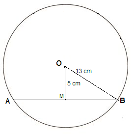 A circle has center O, radius 13 cm and chord AB on it. The point M on ...